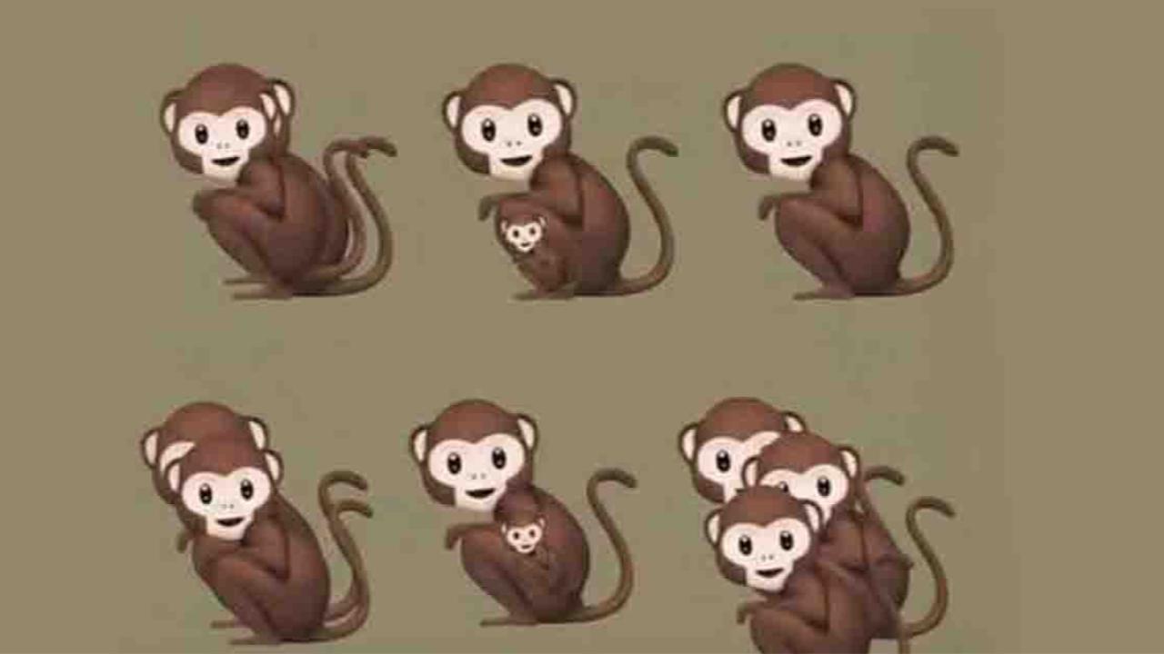 How Many Monkeys Can You Spot? The Viral Optical Illusion That Says ...