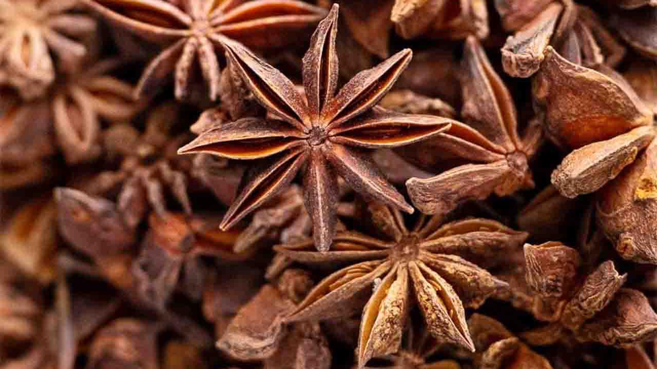 Put Star Anise on Your Windowsill Today: The Surprising Home Secret ...